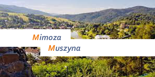 Turnus rehabilitacyjny 15 dni / 14 nocy - Mimoza Muszyna Turnus rehabilitacyjny 15 dni / 14 nocy - Mimoza Muszyna